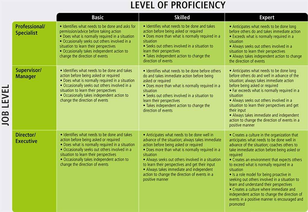 Use a Practical and Cost-Effective Competency Dictionary